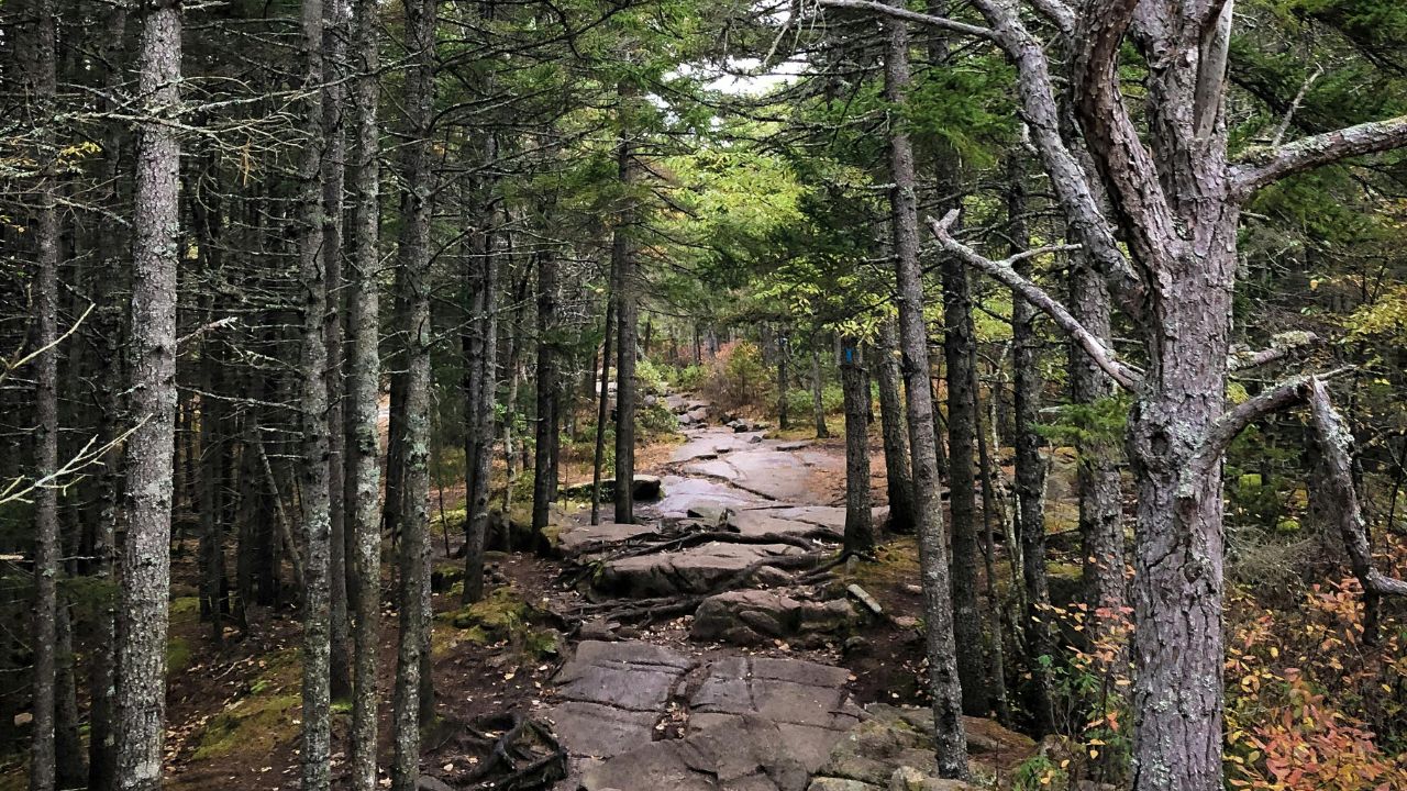 Drug Addiction Help in Maine